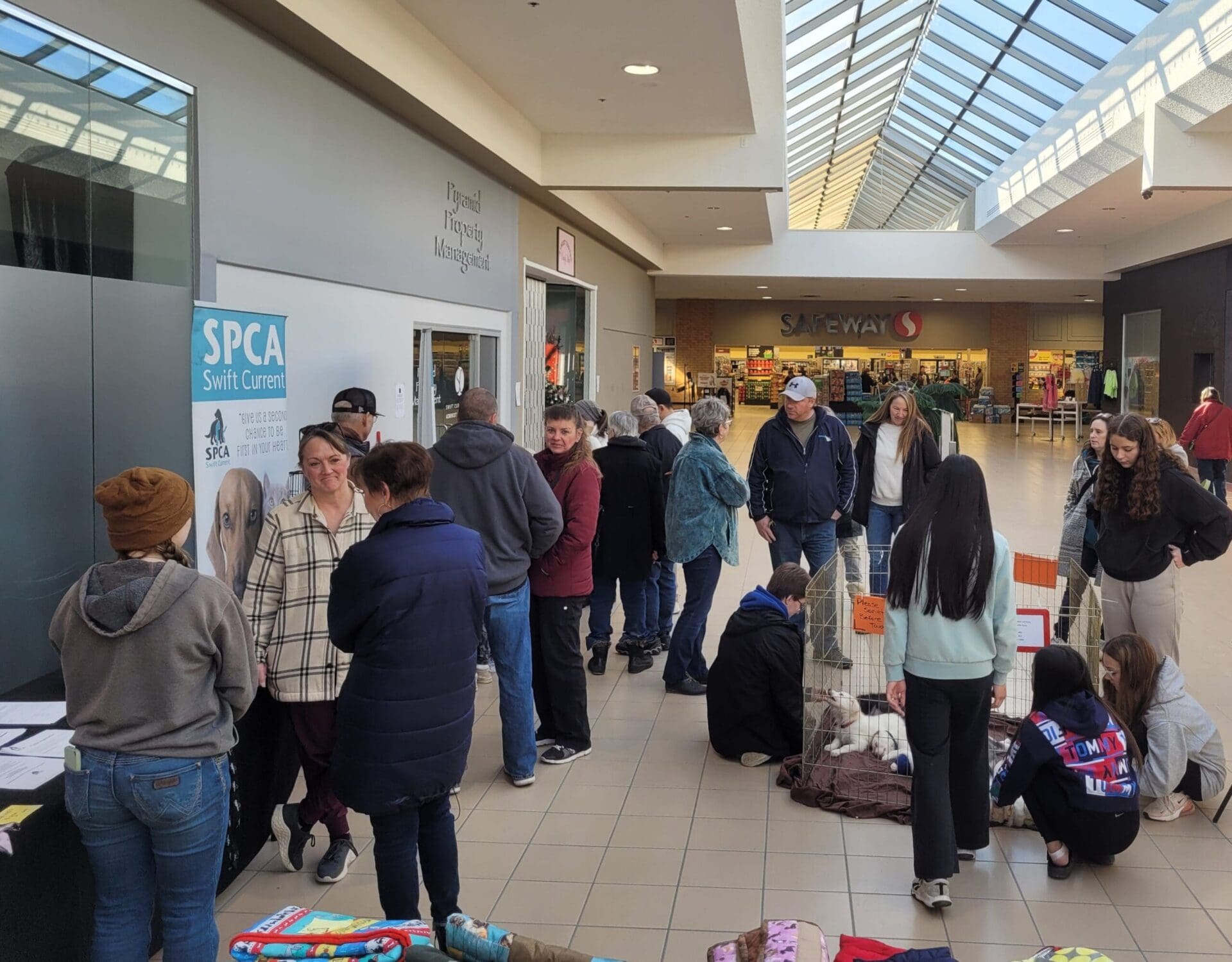 SPCA Swift Current | Donate